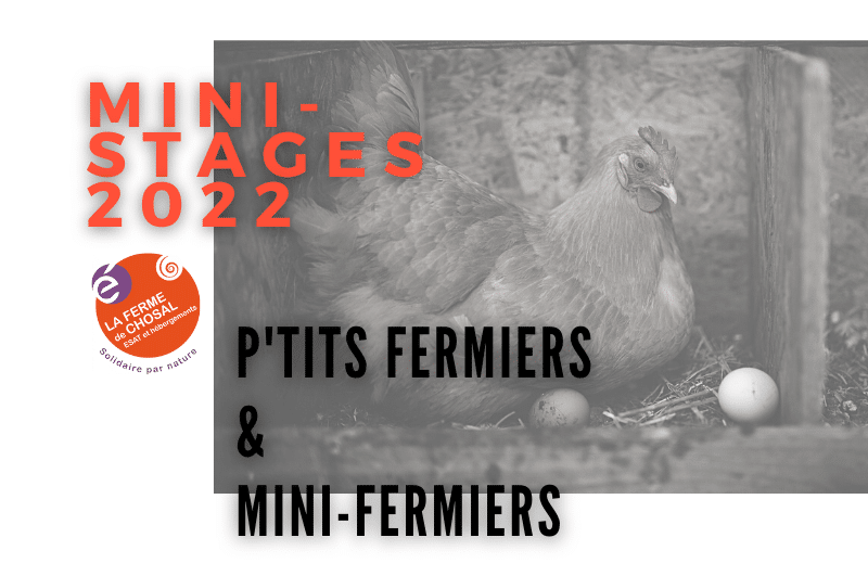 Vacances et Activités - La Ferme de Chosal