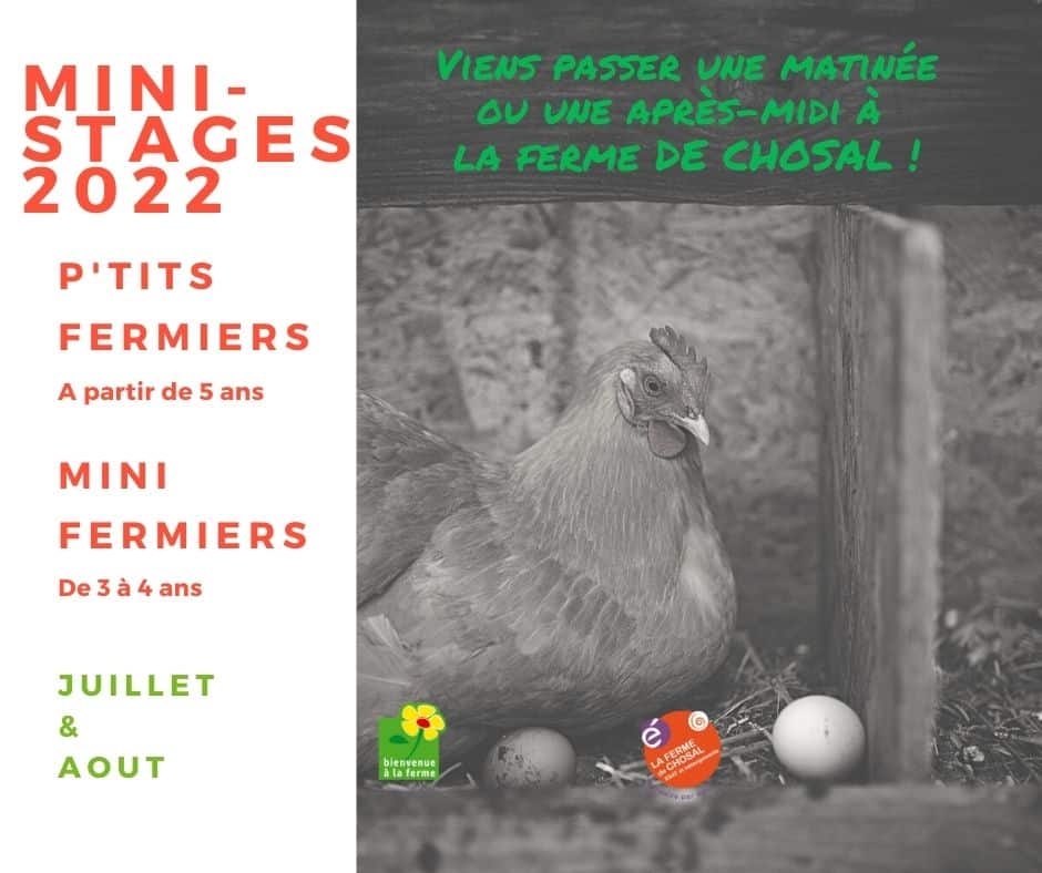 La Ferme de Chosal - La Ferme de Chosal